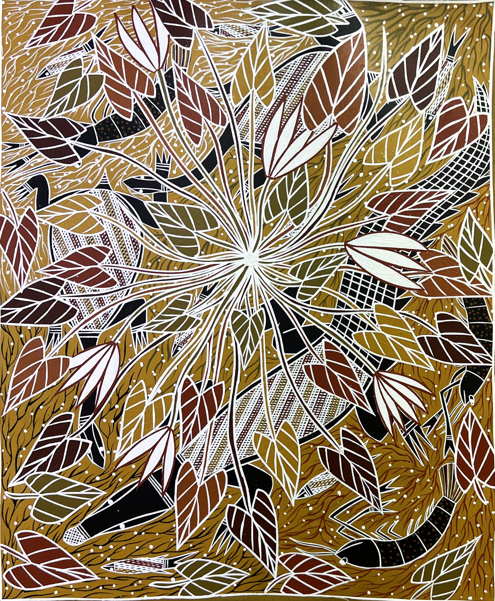 Canvas paintings - Bula'bula Arts