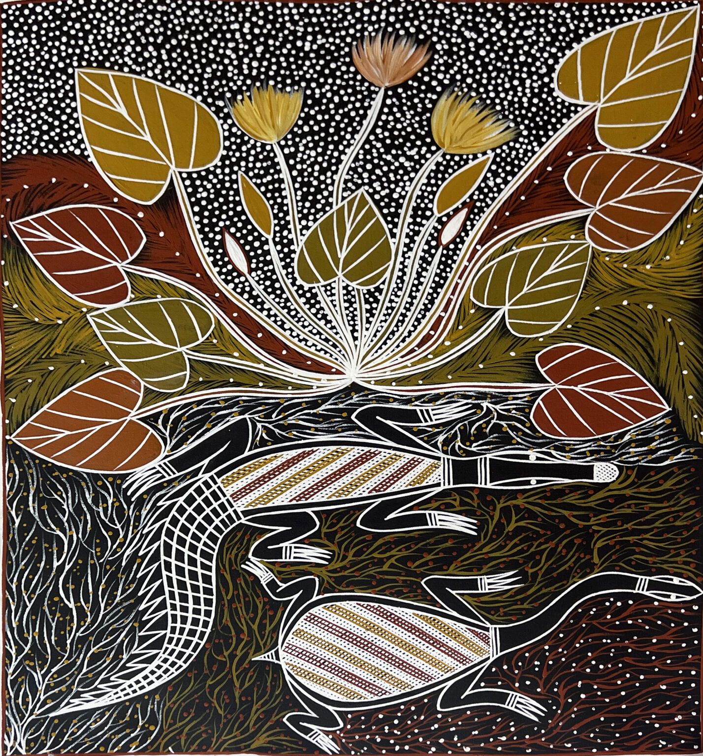 Canvas paintings - Bula'bula Arts